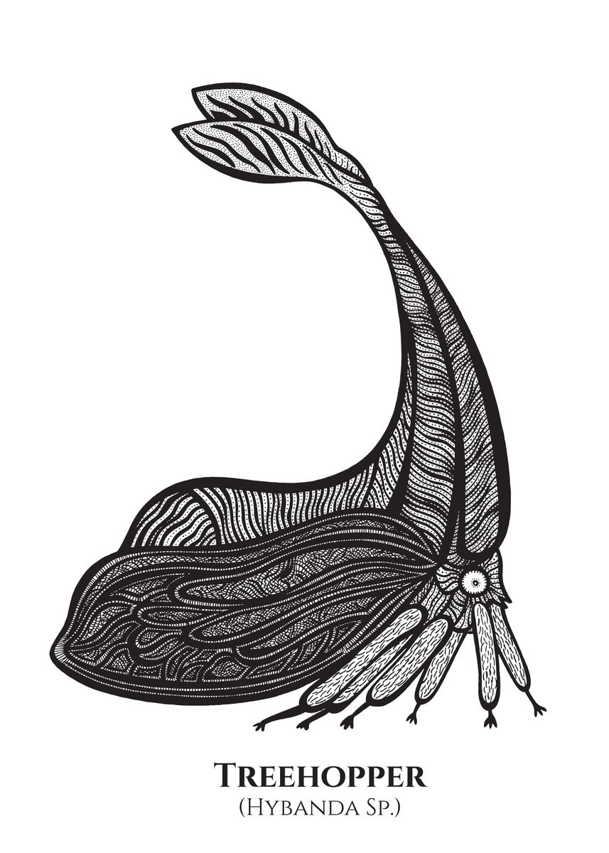 'Treehopper Y Horned' Poster, picture, metal print, paint by Suzie of ...