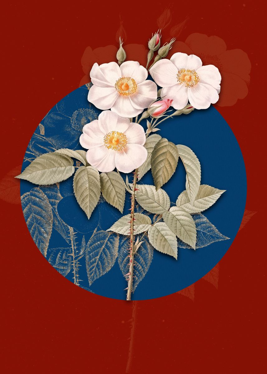 'Vintage Rose of Castile' Poster, picture, metal print, paint by Holy ...