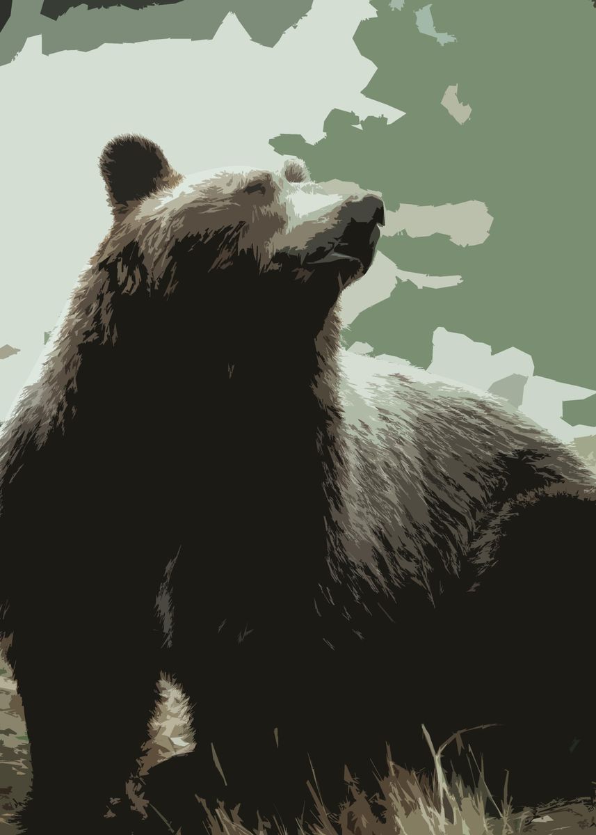 'Bear' Poster, picture, metal print, paint by Creative Visual | Displate