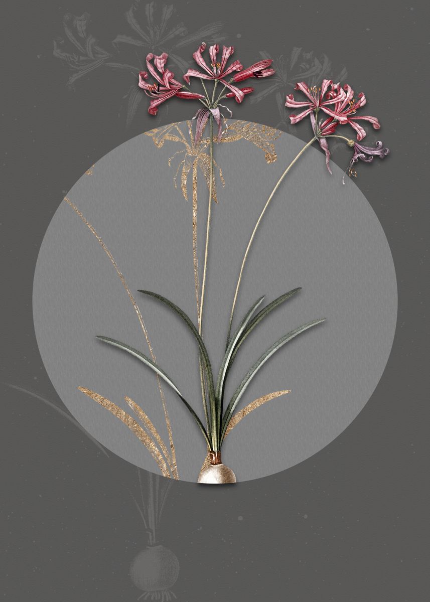 'Vintage Nerine Flowers' Poster, picture, metal print, paint by Holy ...