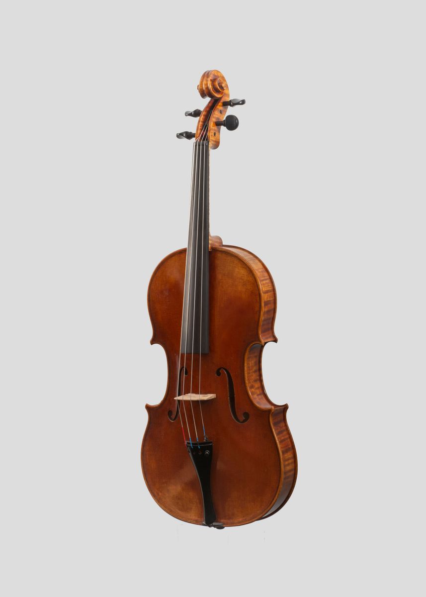 'The Viola' Poster, picture, metal print, paint by Augusto Columbo ...