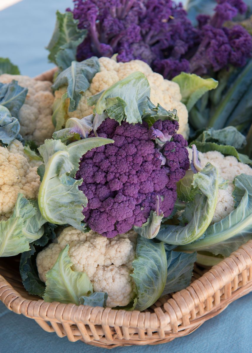 'Purple Cauliflower' Poster, picture, metal print, paint by Michael ...
