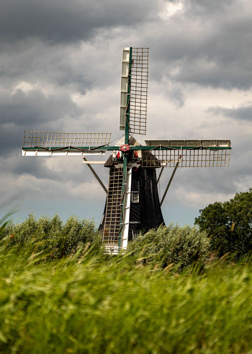 'Proud Dutch windmill' Poster, picture, metal print, paint by Anjo ten ...