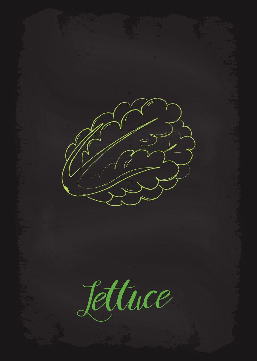 'Lettuce Vegetable ' Poster, picture, metal print, paint by dkDesign ...
