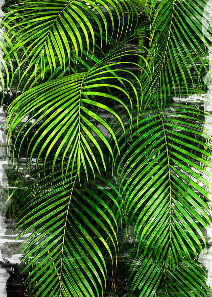 'Palm Tree Leaves Abstract' Poster, picture, metal print, paint by ...