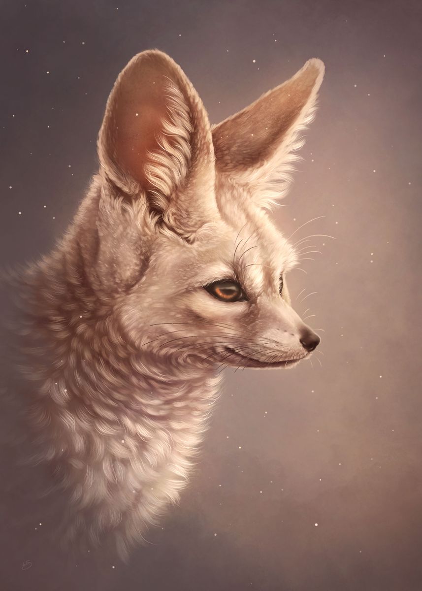 'Fennec Fox' Poster, picture, metal print, paint by Lucy Sommer | Displate