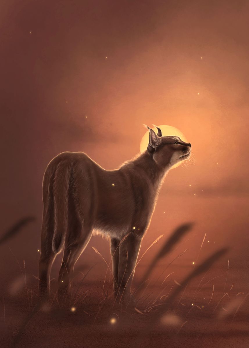 'Caracal' Poster by Lucy Sommer | Displate