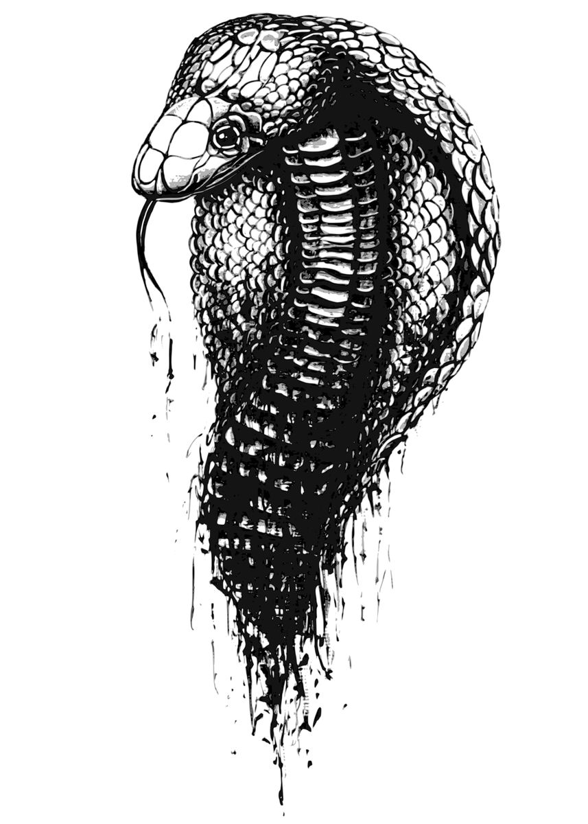 'Cobra Ink Dripping' Poster, picture, metal print, paint by Shirley ...