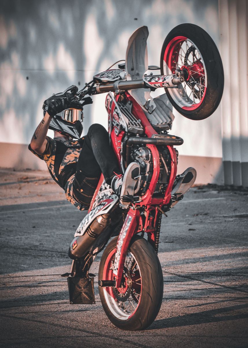 'Sunshine Wheelie' Poster, picture, metal print, paint by ...