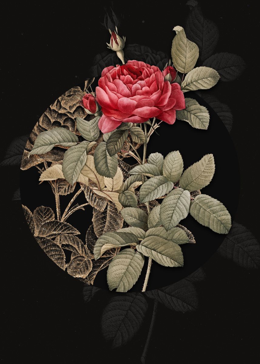 'Red Gallic Rose Flowers' Poster, picture, metal print, paint by Holy ...