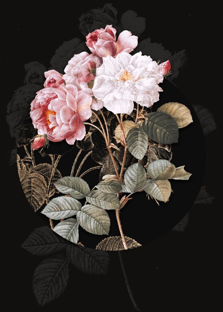 'Vintage Pink Damask Rose' Poster by Holy Rock Design | Displate