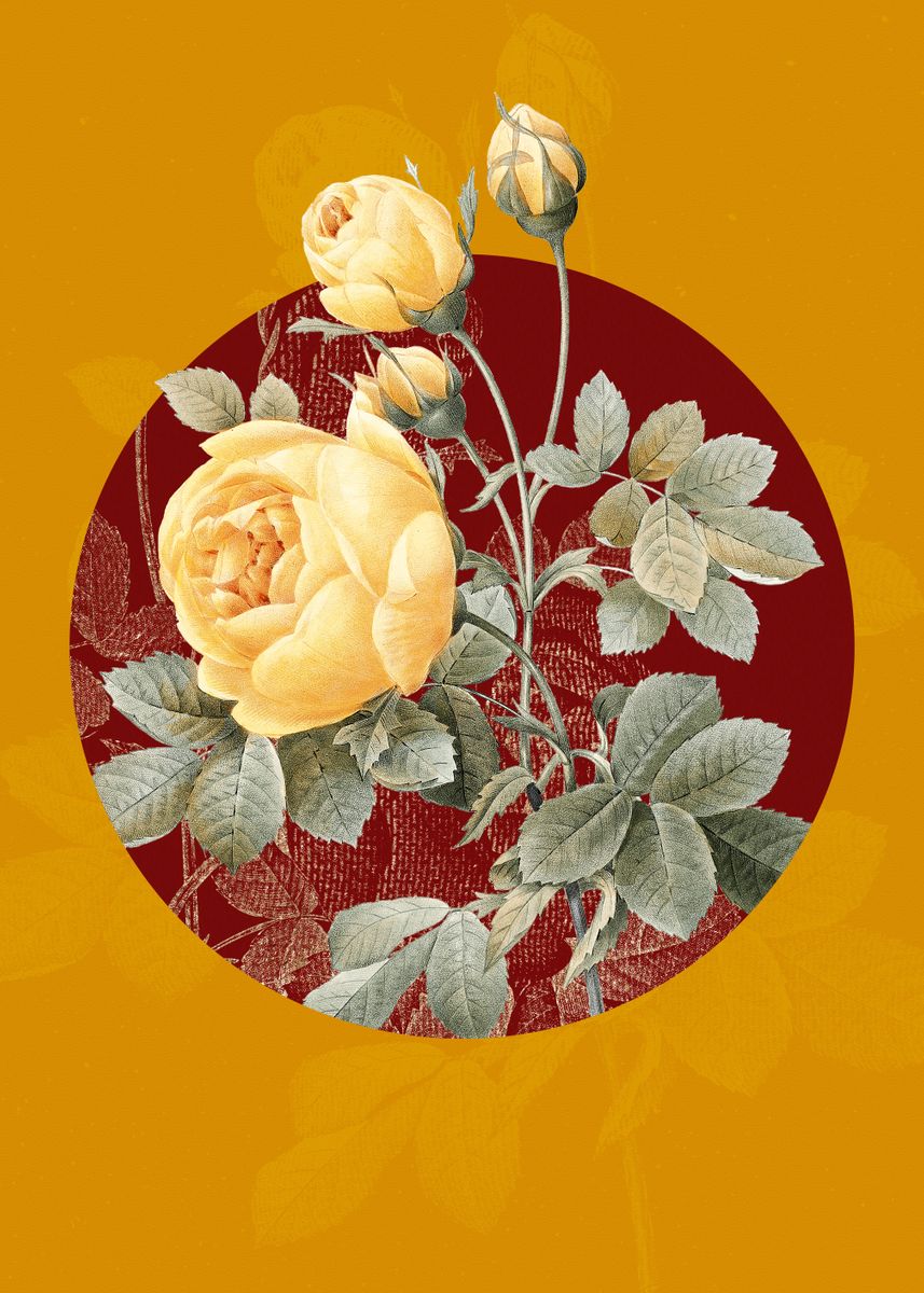 'Antique Yellow Rose Flower' Poster, picture, metal print, paint by ...