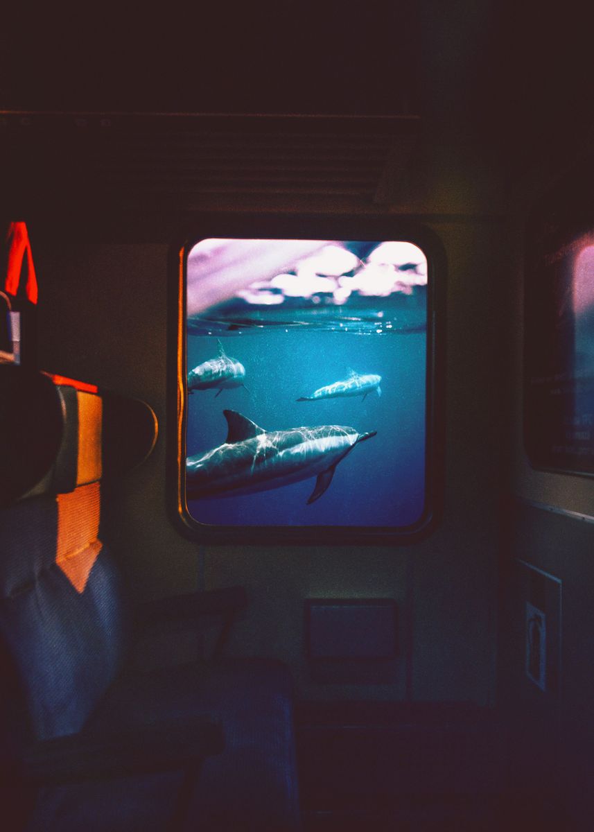 'Outside The Window' Poster, picture, metal print, paint by seam less ...