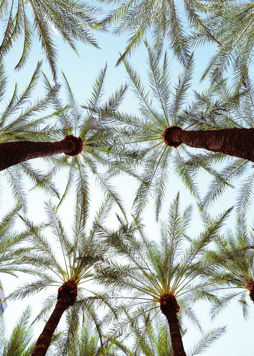 'nature for motivational' Poster by Haruka Studio | Displate