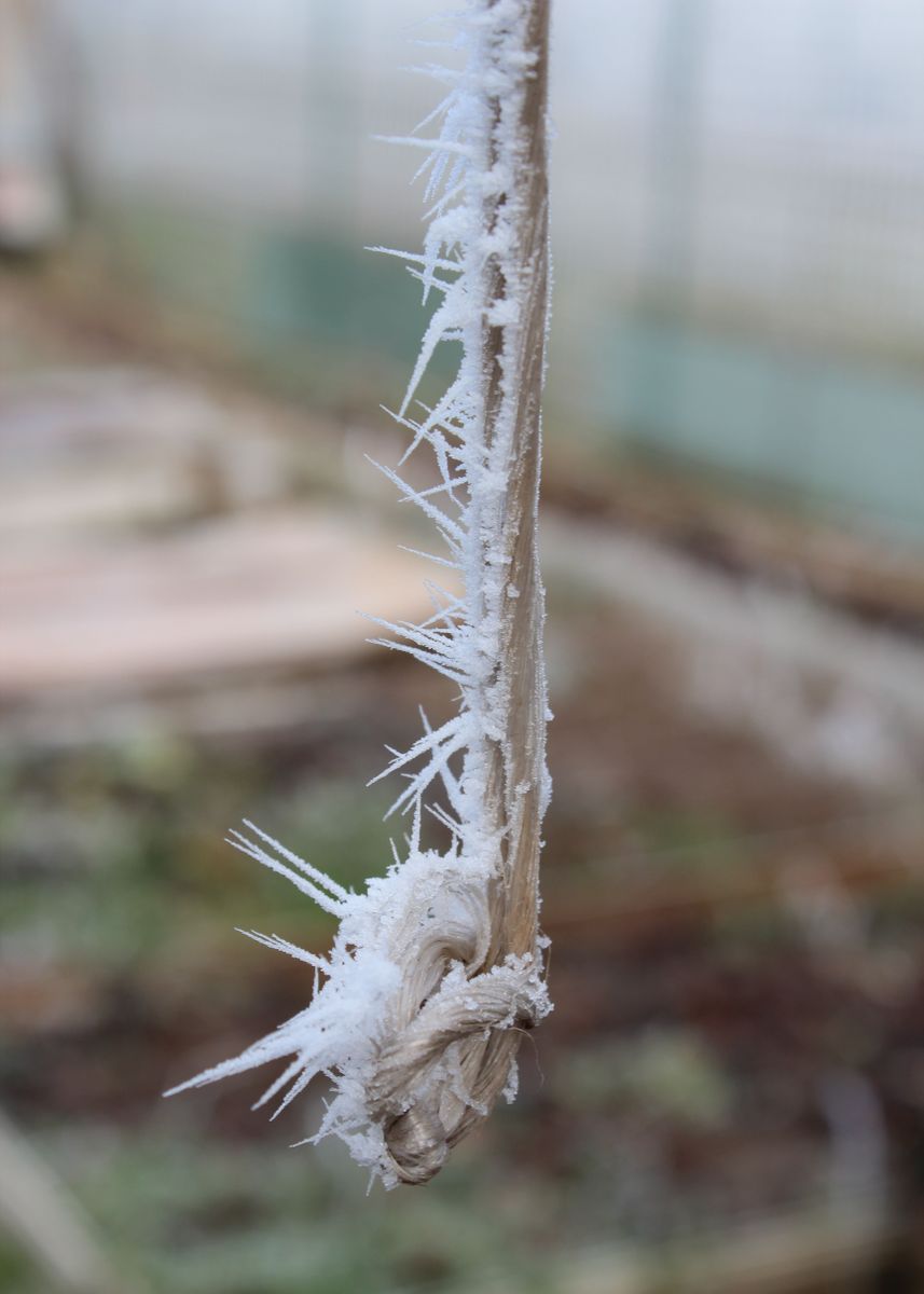 'Corda Rope' Poster, picture, metal print, paint by Vanessa | Displate