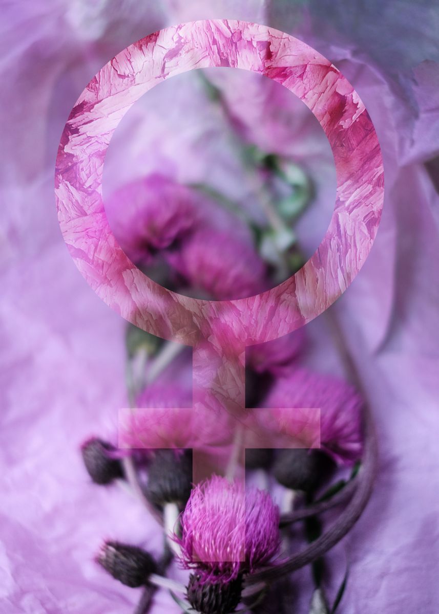 'Pink Venus' Poster, picture, metal print, paint by Lise Svelander ...