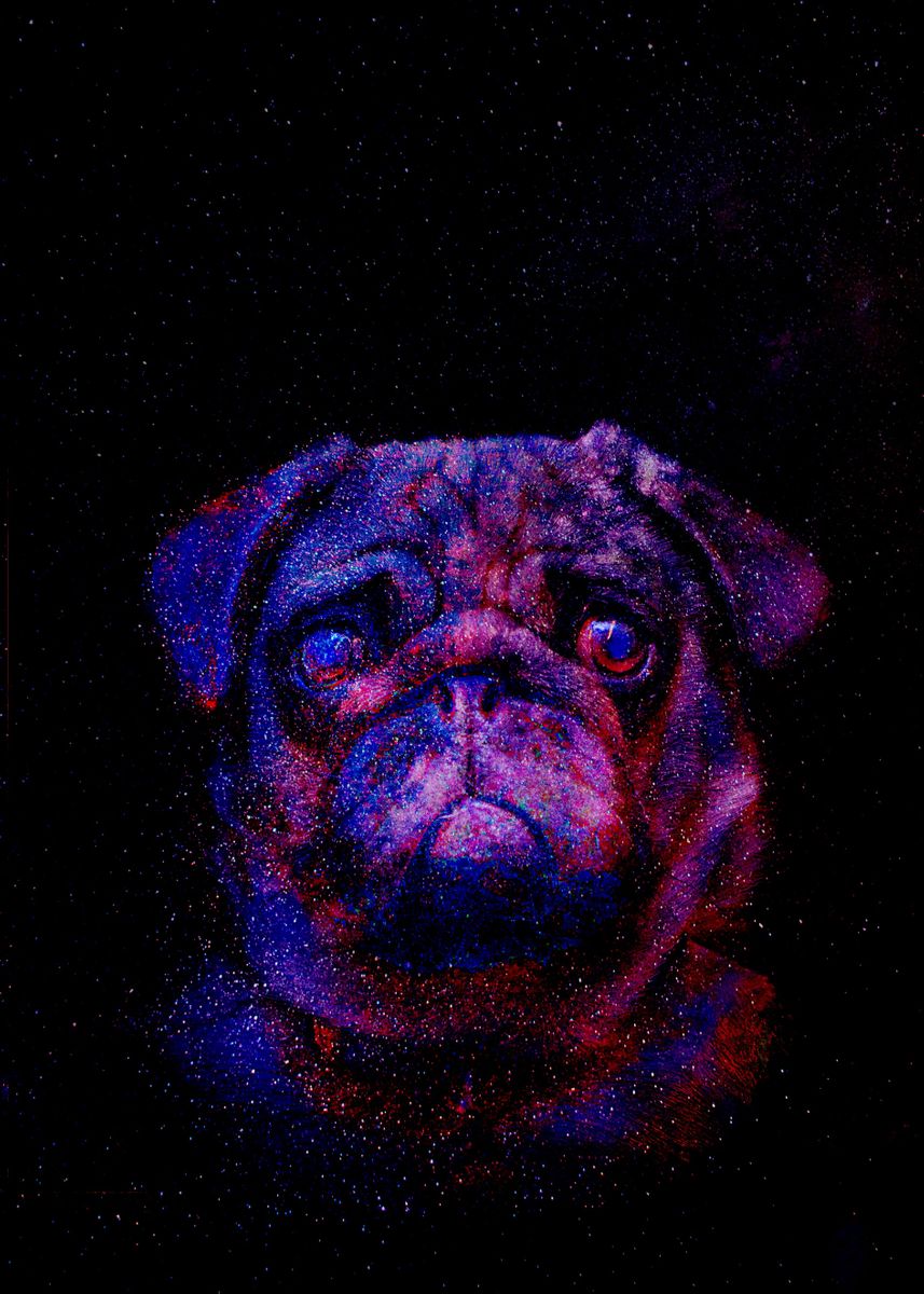 'Cosmic Pug' Poster, picture, metal print, paint by Leon Seemann | Displate