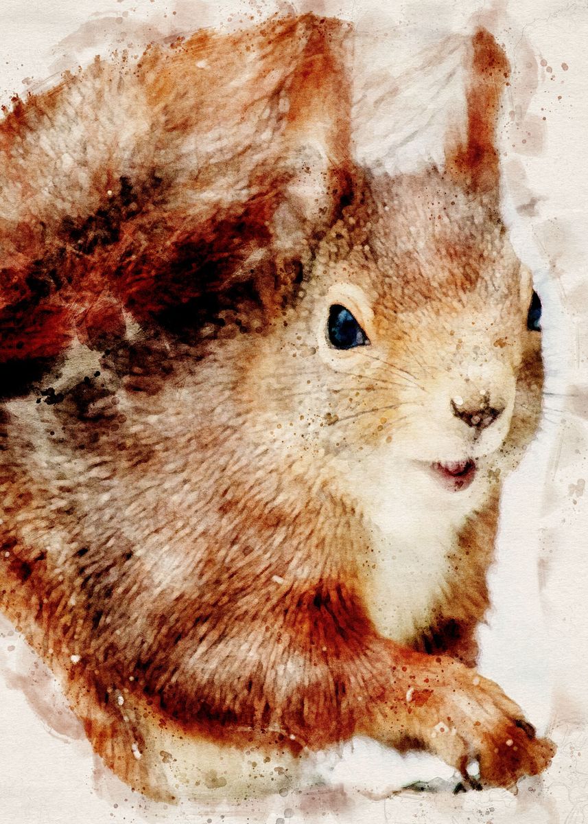 'Red Squirrel' Poster, picture, metal print, paint by Deborah Conrad ...