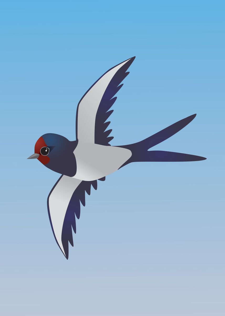 'Cute barn swallow' Poster, picture, metal print, paint by Bianca ...