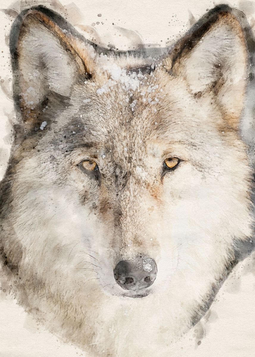 'Wild Wolf' Poster, picture, metal print, paint by Deborah Conrad ...
