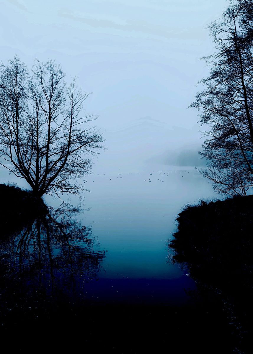 'Dark lake' Poster by ShiroLiliumART | Displate
