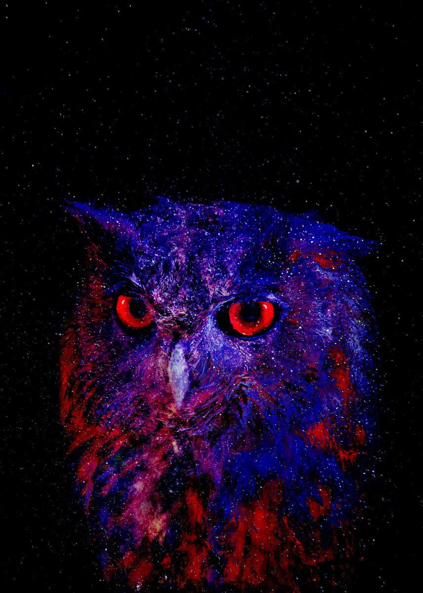 'Cosmic Owl' Poster, picture, metal print, paint by Leon Seemann | Displate