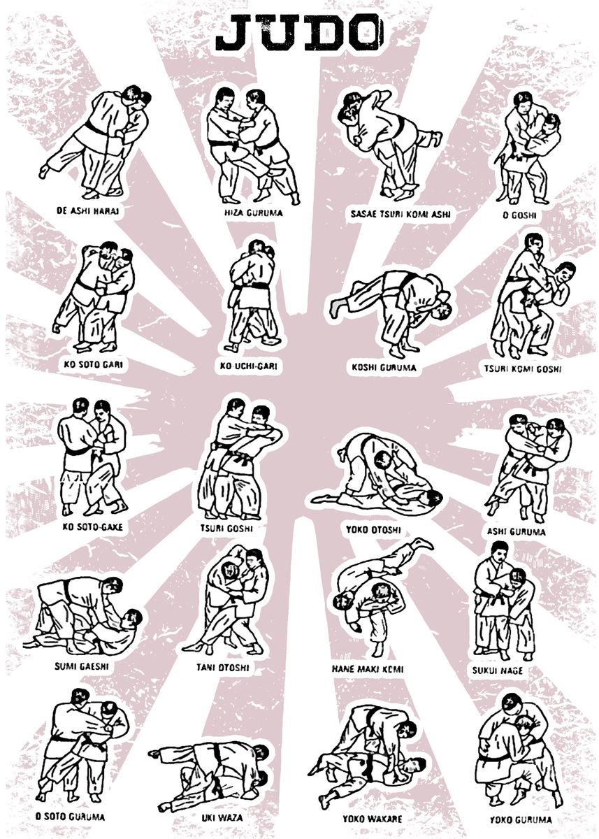 'Judo Techniques Dojo Decor' Poster, picture, metal print, paint by М ...