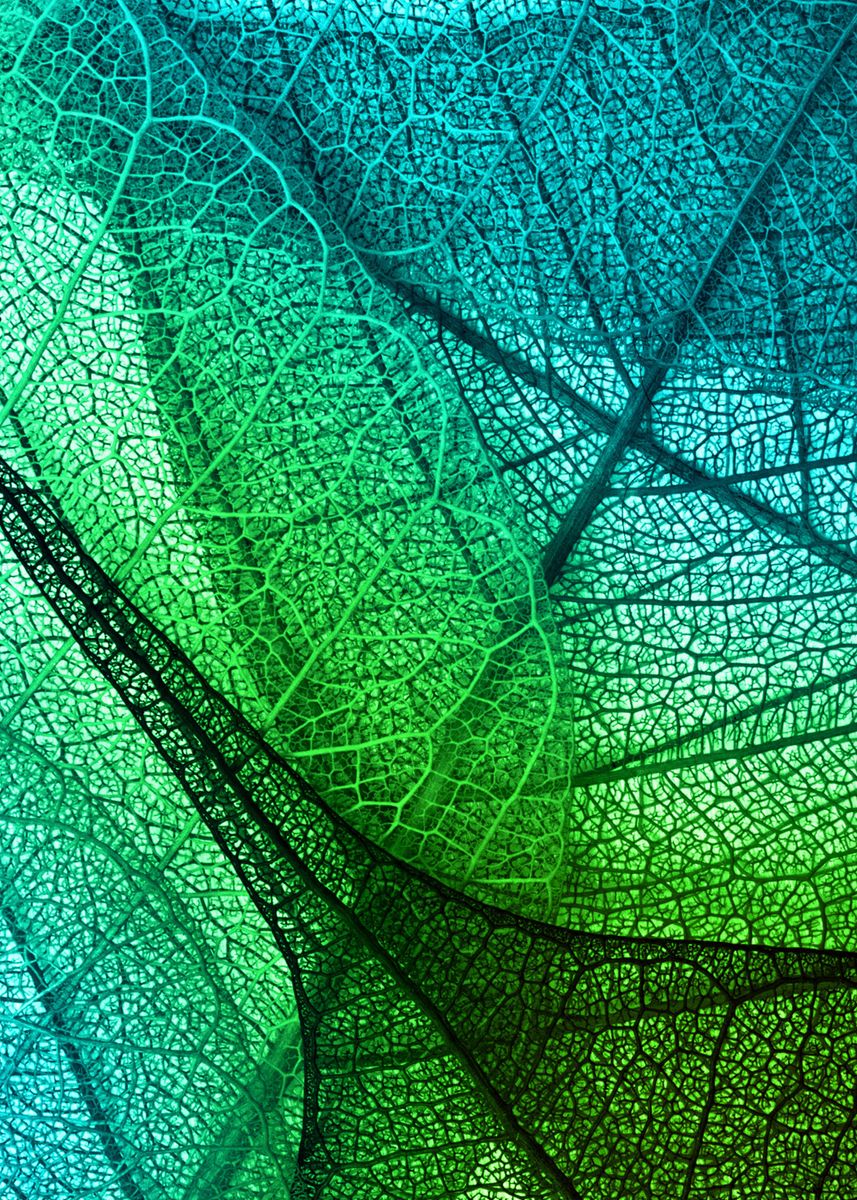 'Leaf textures' Poster, picture, metal print, paint by Nehemiah ...