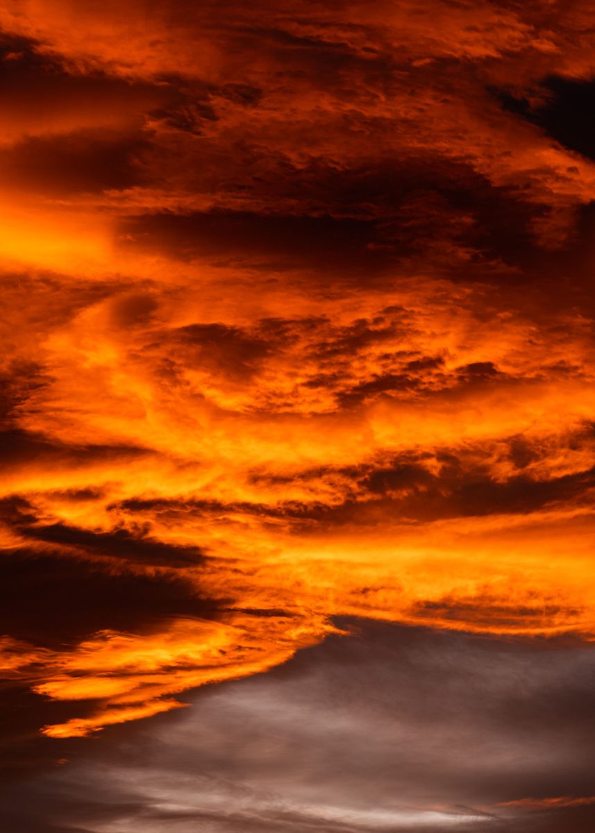 'Red SKY' Poster, picture, metal print, paint by nika morbedadze | Displate