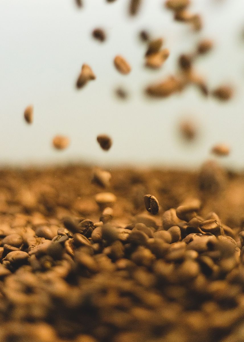 'coffee' Poster, picture, metal print, paint by Haruka Studio | Displate