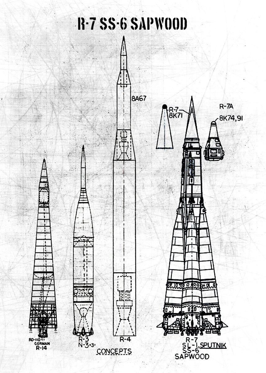 'R7 SS6 Sapwood' Poster by MAXART DESIGN | Displate