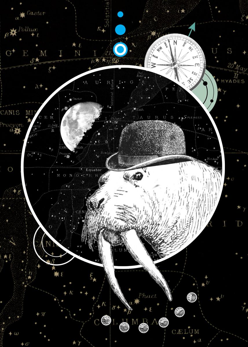 'Space walrus' Poster, picture, metal print, paint by Hakubiya | Displate