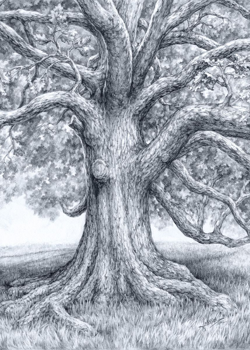 'The Birthing Tree' Poster, picture, metal print, paint by Amanda Diehl ...