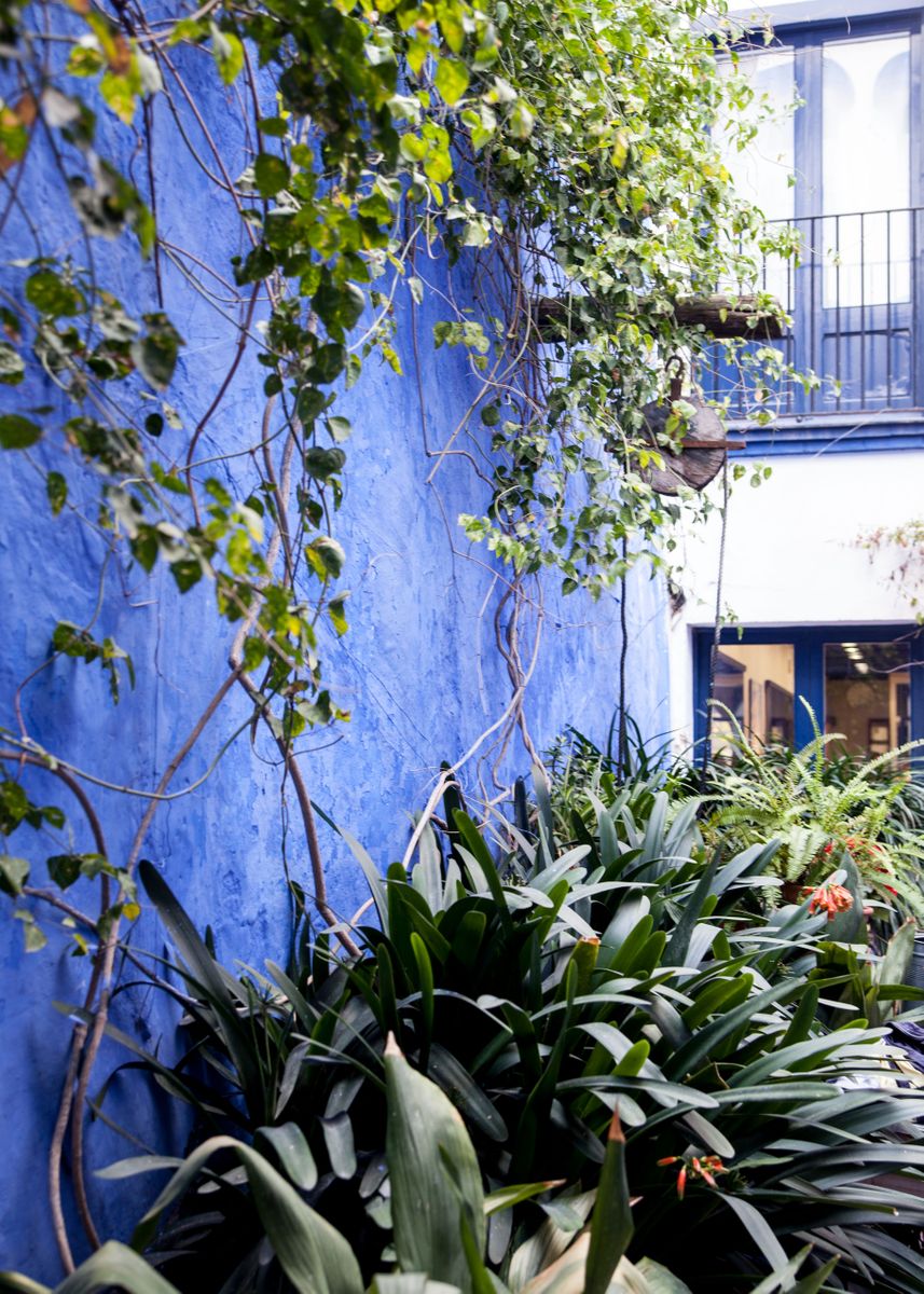 'blue yard wall with green' Poster, picture, metal print, paint by iris ...