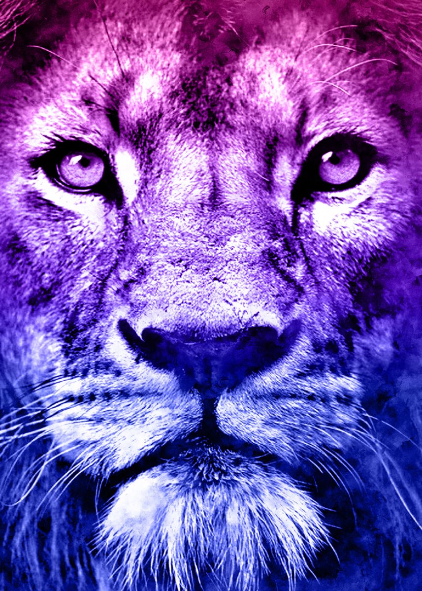 'Lion Full Color ' Poster, picture, metal print, paint by Defi Saul ...