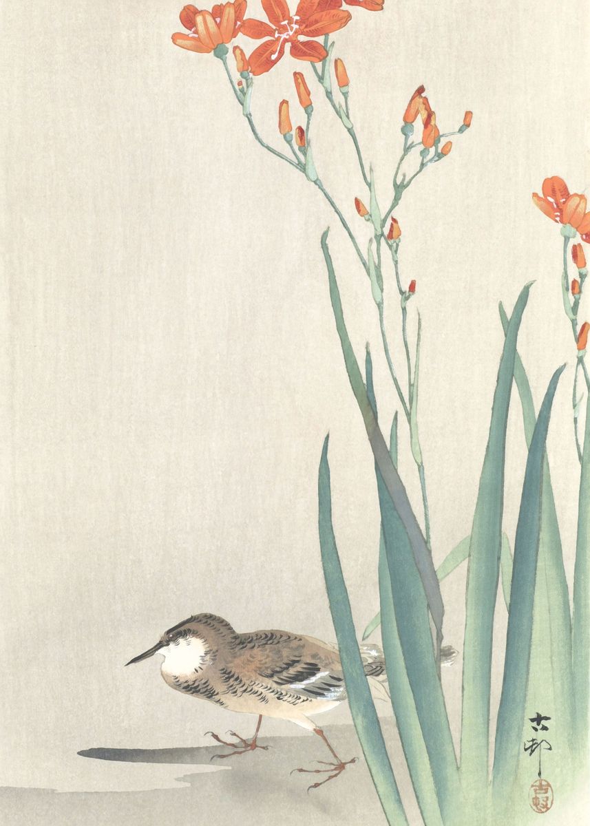 'Pipit Bird and Flowers Art' Poster by Makanaki | Displate