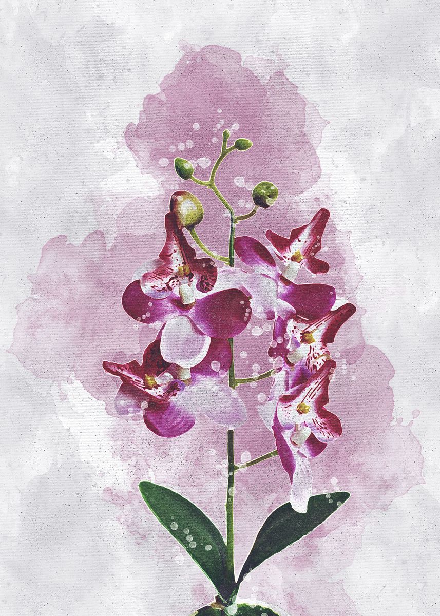 'Orchid Flower' Poster by art qlie | Displate