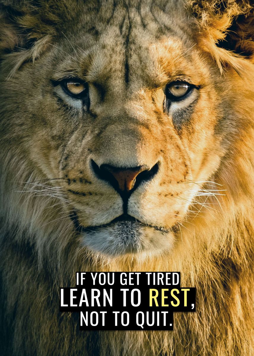 'Learn to Rest' Poster, picture, metal print, paint by Millionaire ...