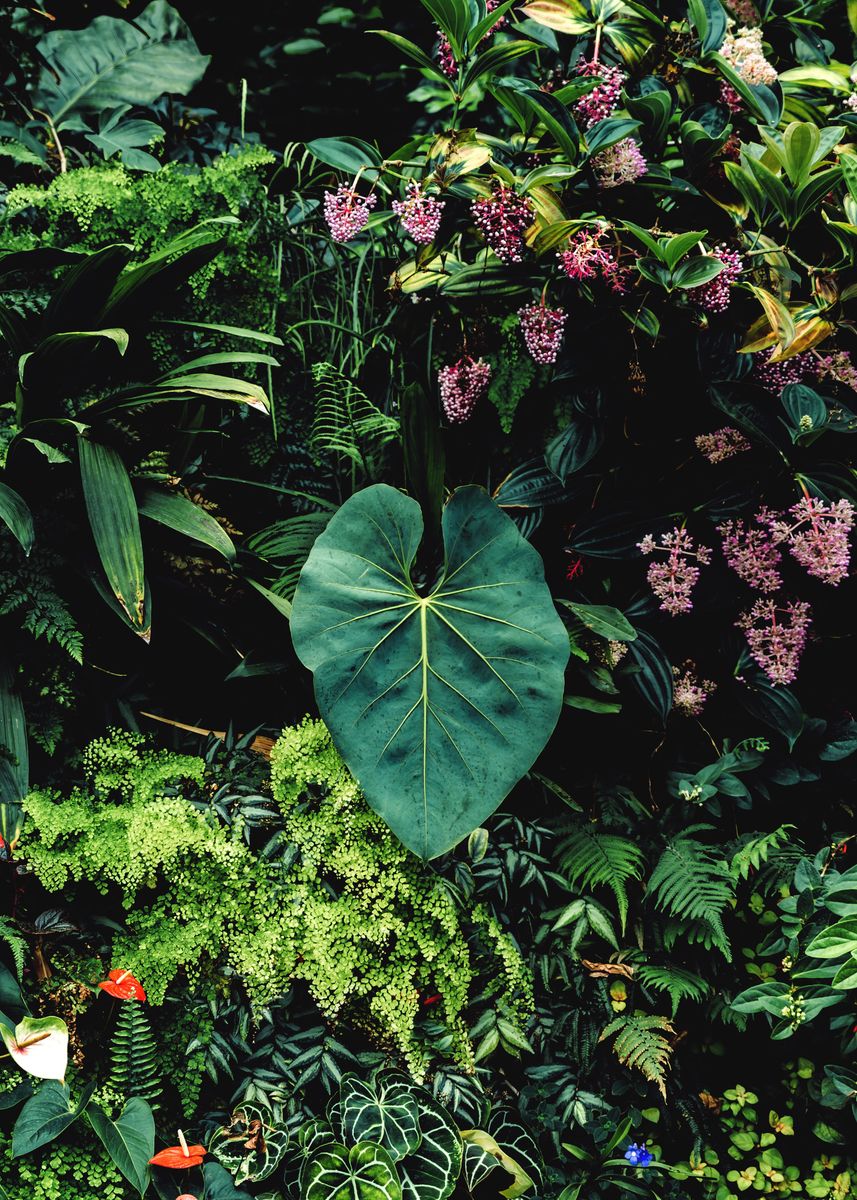 'Tropical wall' Poster, picture, metal print, paint by J.Lu | Displate