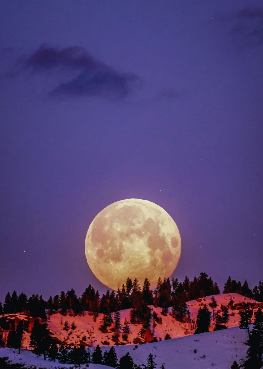 'Moon picture vectorial' Poster by ArtGallery | Displate