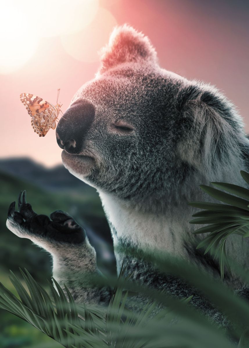 'The Koala and Butterfly' Poster, picture, metal print, paint by ...