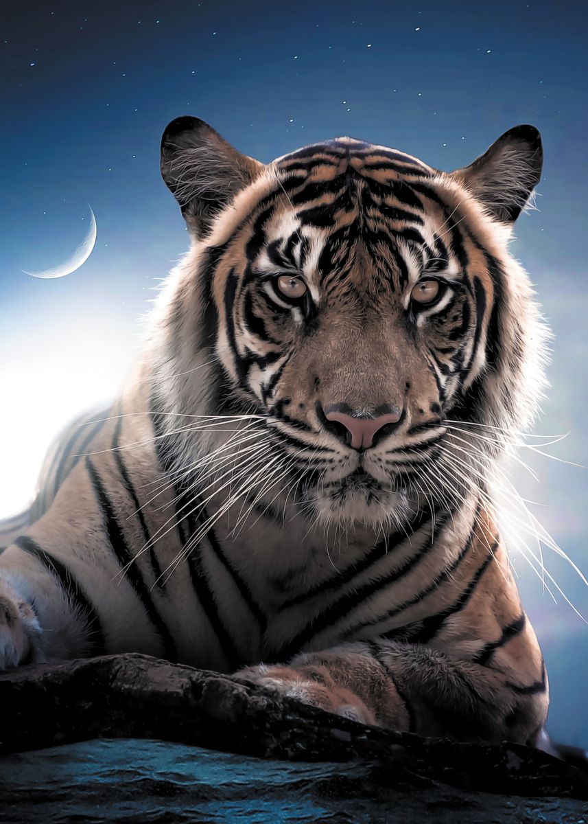 'The Tiger and The Moon' Poster, picture, metal print, paint by ...