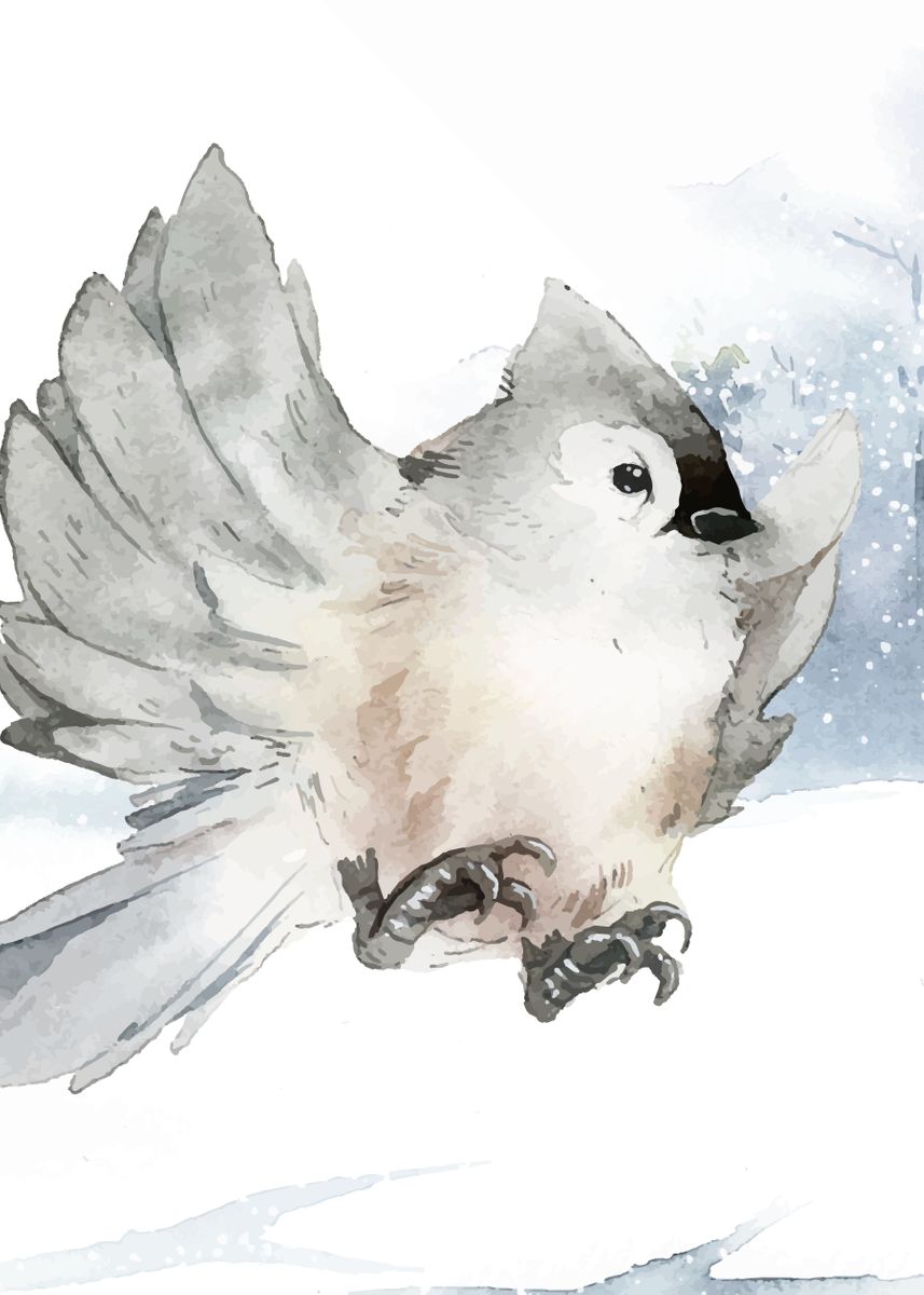 'Tufted titmouse bird' Poster, picture, metal print, paint by Queensy ...