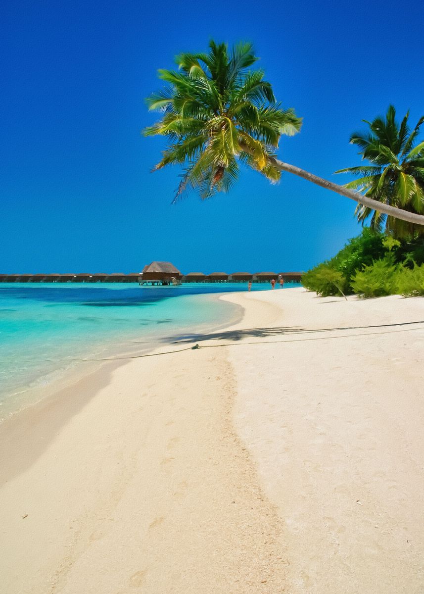 'Maldives Sea Ocean Wate' Poster, picture, metal print, paint by Noah ...