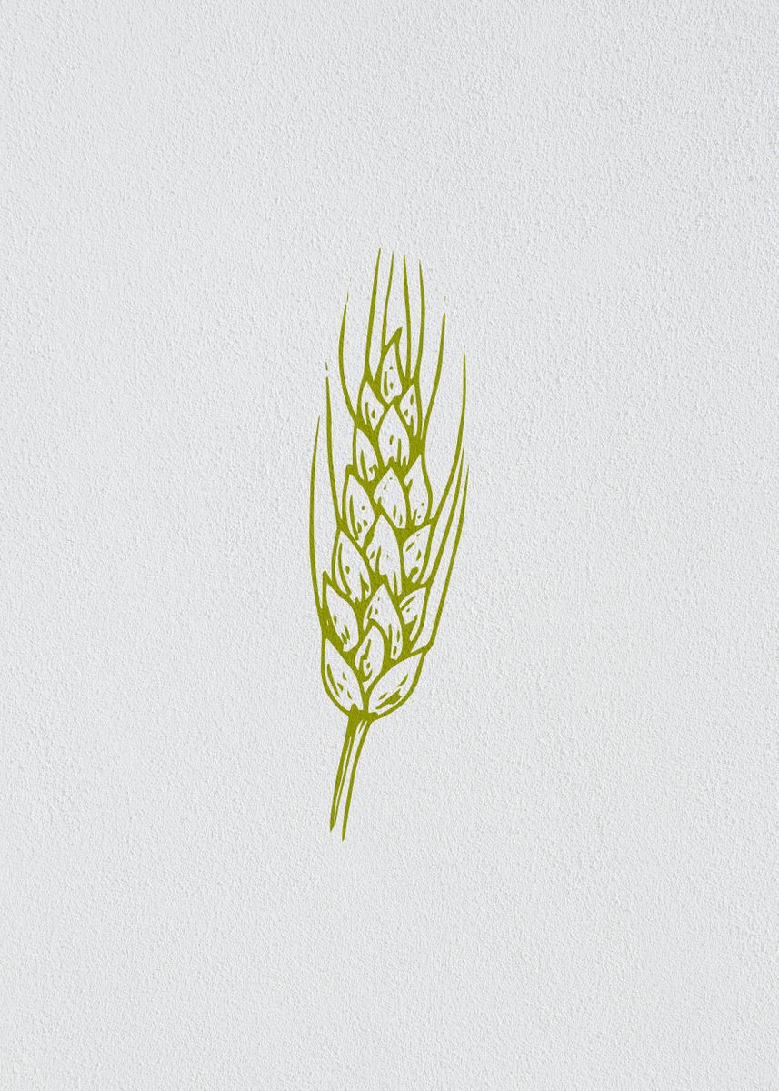 'Minimalist Barley Grain' Poster, picture, metal print, paint by Team ...