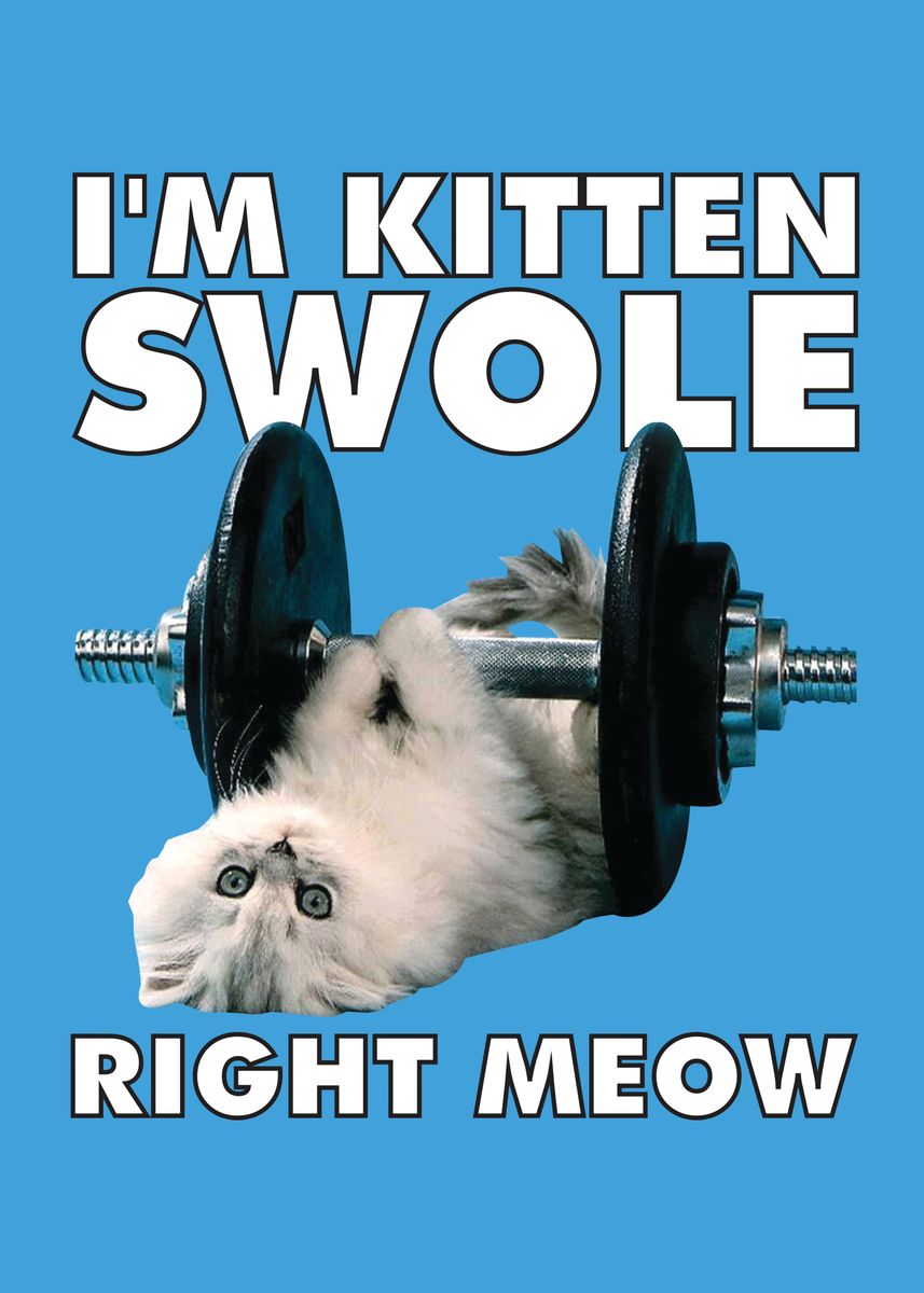 'Kitten Swole Right Meow' Poster, picture, metal print, paint by CHAN ...