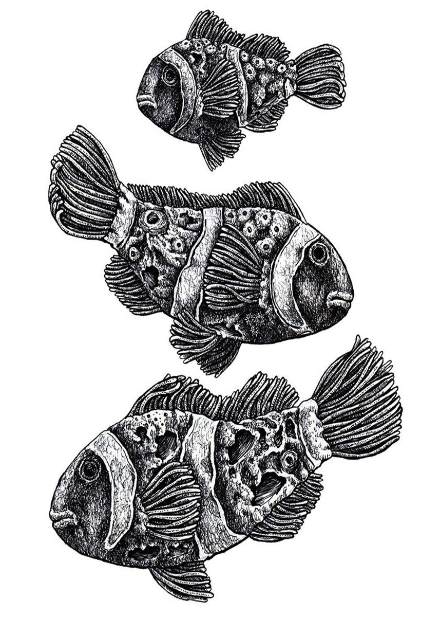 'Clown fish Family' Poster, picture, metal print, paint by Angelo Delos ...