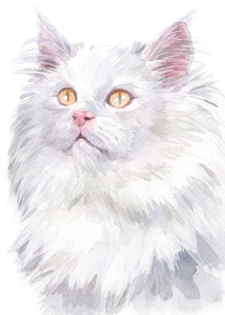 'white cat' Poster, picture, metal print, paint by Queensy Collin ...