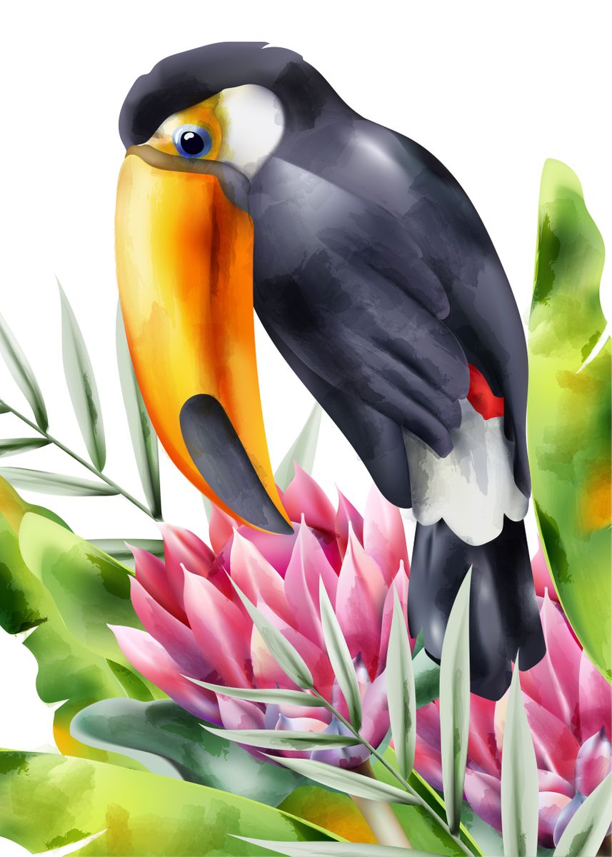 'tucano bird' Poster, picture, metal print, paint by Queensy Collin ...