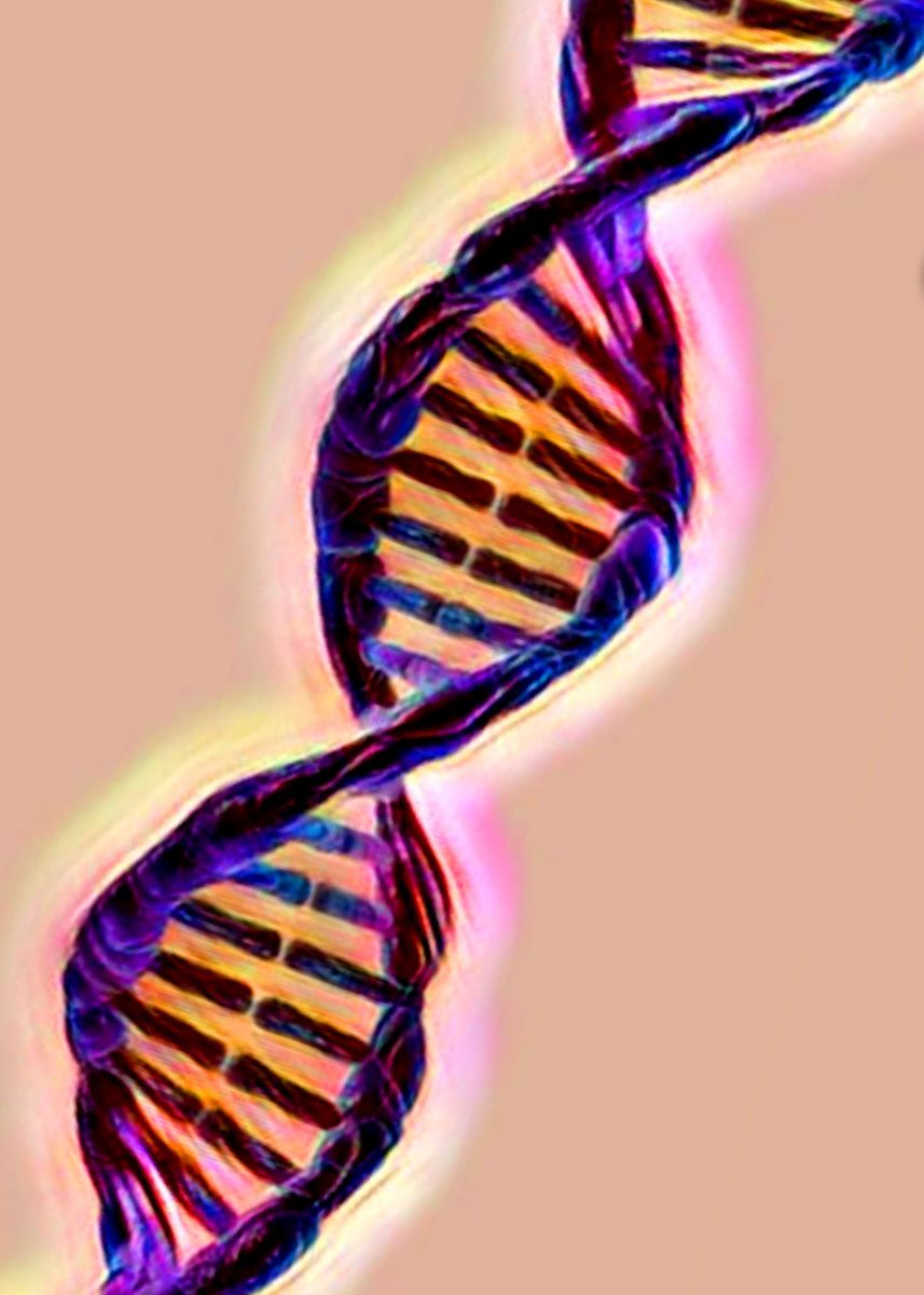 'Illustrated DNA' Poster, picture, metal print, paint by Rozi Art ...
